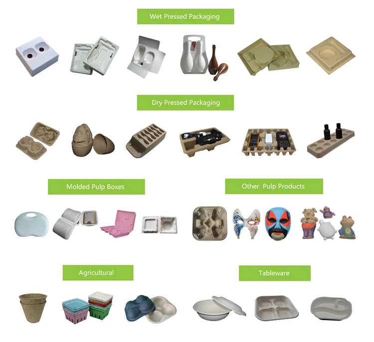 Bio Feature Eco-friendly Paper Pulp Molding Packaging - Buy Paper Pulp ...