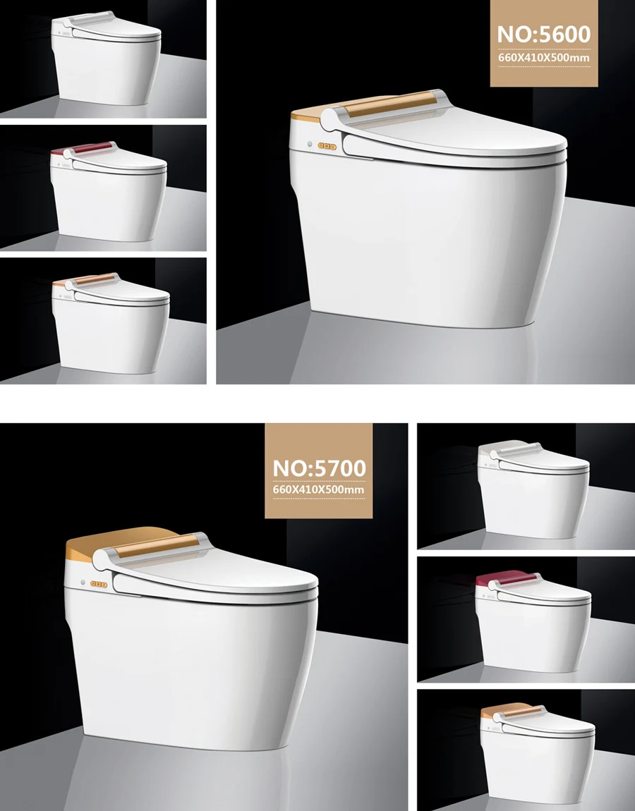 European Style New Smart Bidet Toilet - Buy Smart Bidet Toilet,Indian ...