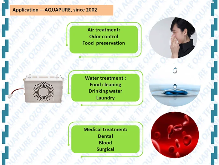 Aquapure 12V/24V DC 500mg Ozone Generator Module for Tap Water Purification