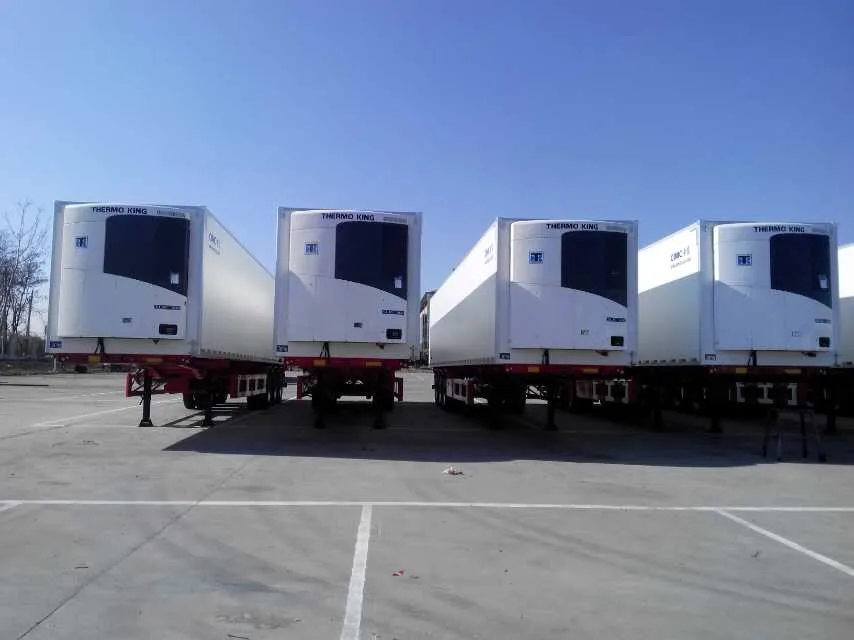 Thermo King Slxi-400 30/50 Self-Powered Combined Diesel Engine Driven ...