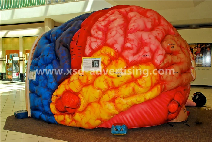 Lifelike 4m Giant Inflatable Brain / Colorful Inflatable Brain Replica ...