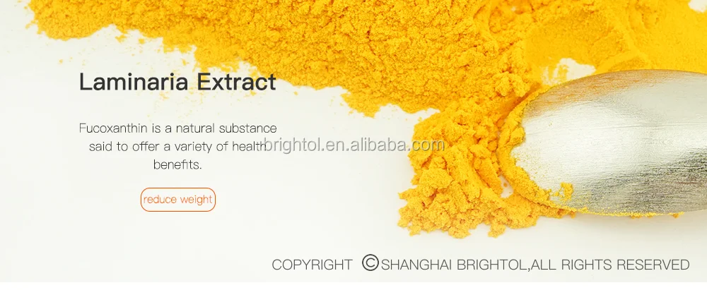 Natural Fucoxanthin 10% Kelp Extract Powder - Buy Fucoxanthin Powder ...