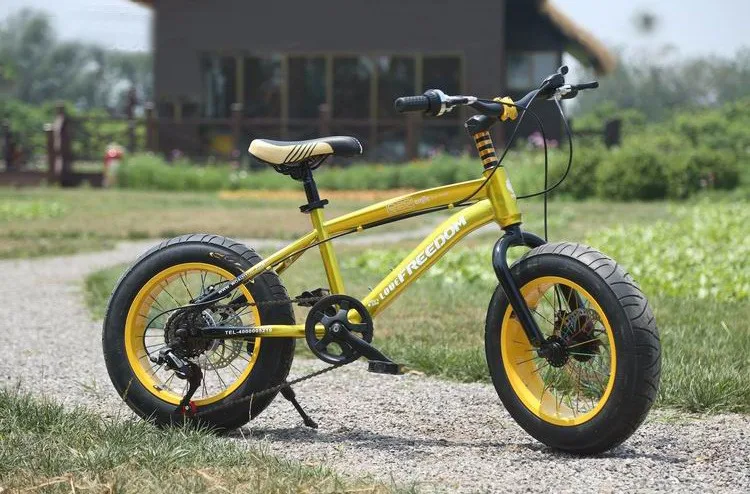 16 Inch Fat Tire Snow Bike Children/female Mountain Bikes Racing ...