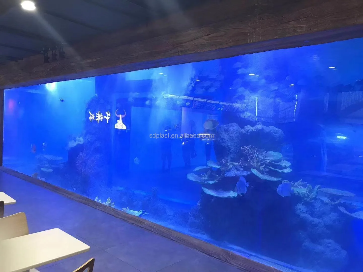 Custom Outdoor Acrylic Aquarium Fish Tank - 20-800mm