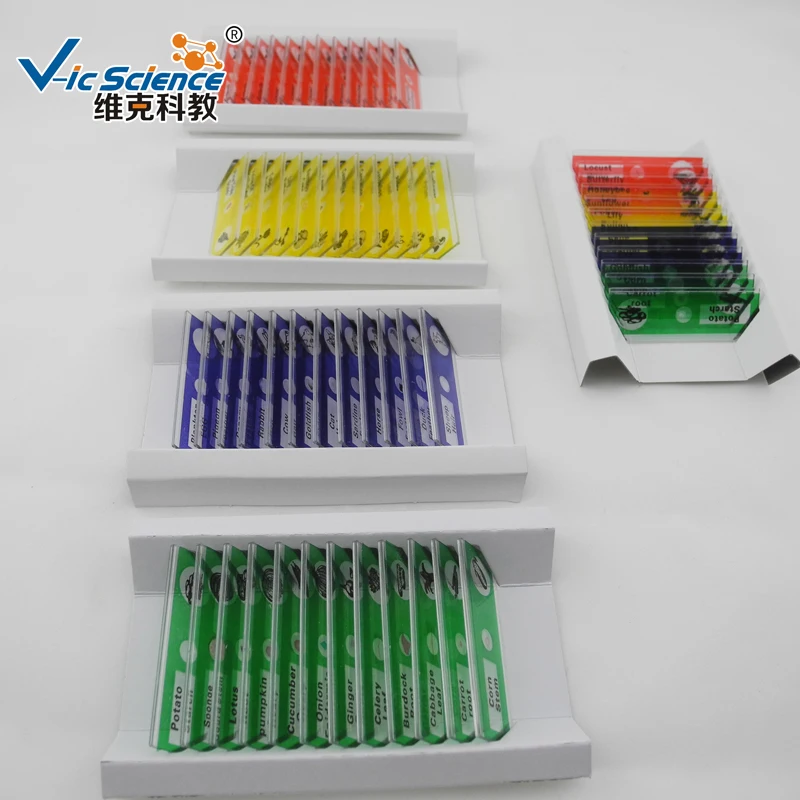 Children Plastic Microscope Prepared Slides for Biology