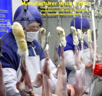 Rabbit Slaughter Equipment In Rabbit Slaughter Line For Rabbit ...