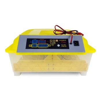 Hhd Automatic Battery Powered 48 Egg Incubator/hatching Machine/brooder ...