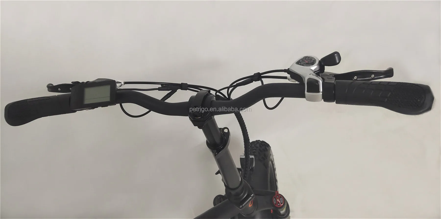 Petrigo 중국 자전거 48v 500w 모터 전기 자전거 20 인치 산악 자전거 리튬 배터리 지방 타이어 접이식 전기 자전거 ...