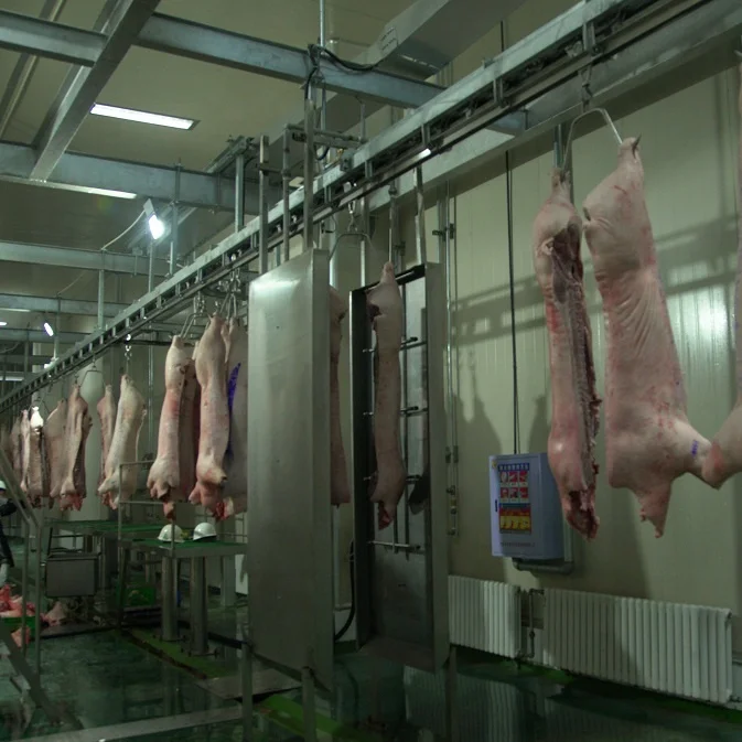 Pig Slaughter Equipment - Automatic Robot Carcass Splitting Saw