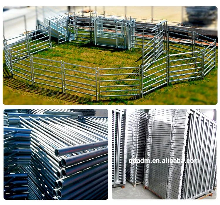 Adjustable Cattle Loading Ramps - Efficient & Durable