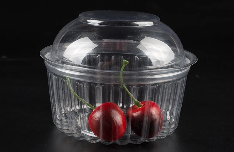 Top Quality Fruit Salad Container Disposable Plastic Vegetables ...