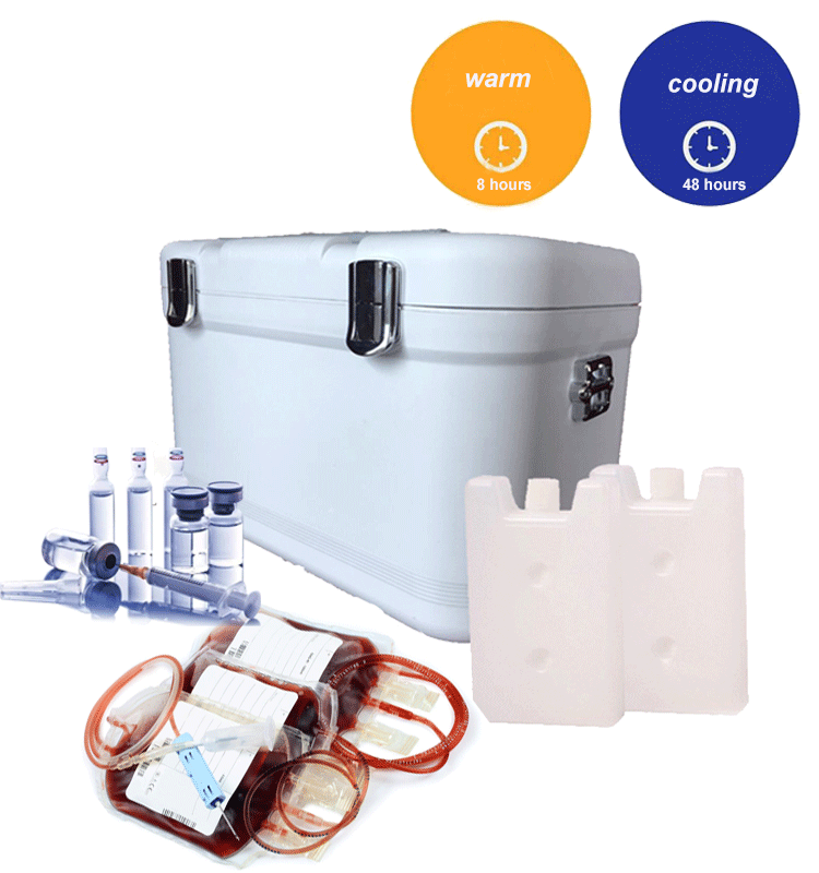 6l Mini Vaccine & Medical Cooler Box For Transport - Buy Mini Vaccine ...