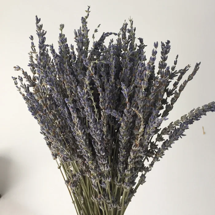 Natural Preserved Lavender Flowers With Fragrance In Packs For Gifts ...