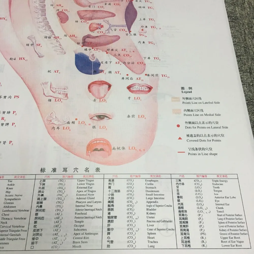 Chinese Medical Acupuncture Charts Points (front,Side,Reverse Side ...
