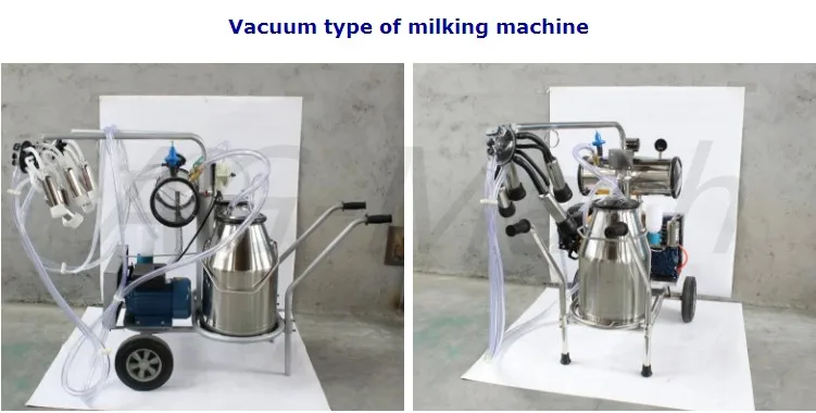 Koe Boerderij Automatische Melkmachine Systeem,Milking Parlour - Buy ...