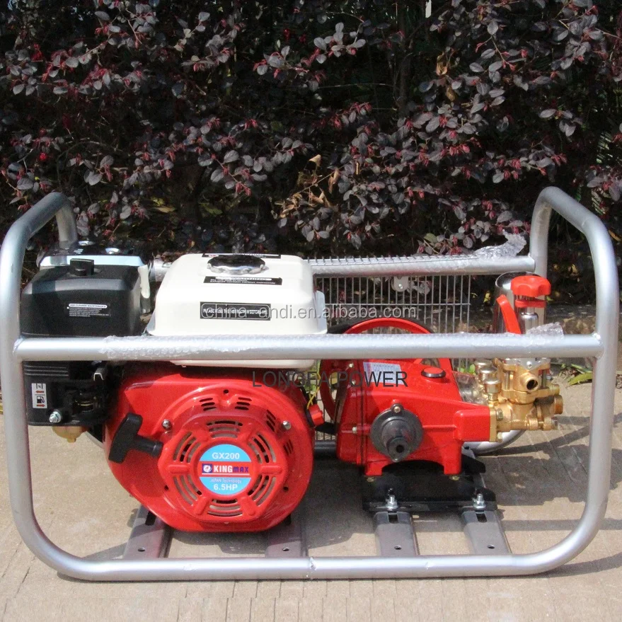 6.5hp Gasoline Engine Agricultural Power Sprayer Pump