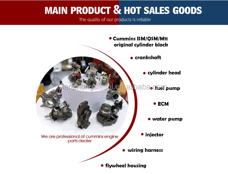 Genuine Diesel Engine Part Vibration Isolator 3955220