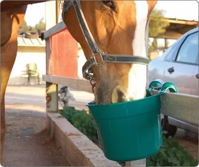 9l Hang On Plastic Animal Feed Trough,Hook-n- Feeder,Hook Over Feed ...