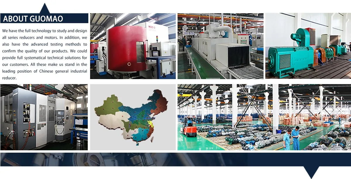 Jiangsu Guomao Reducer Co., Ltd.