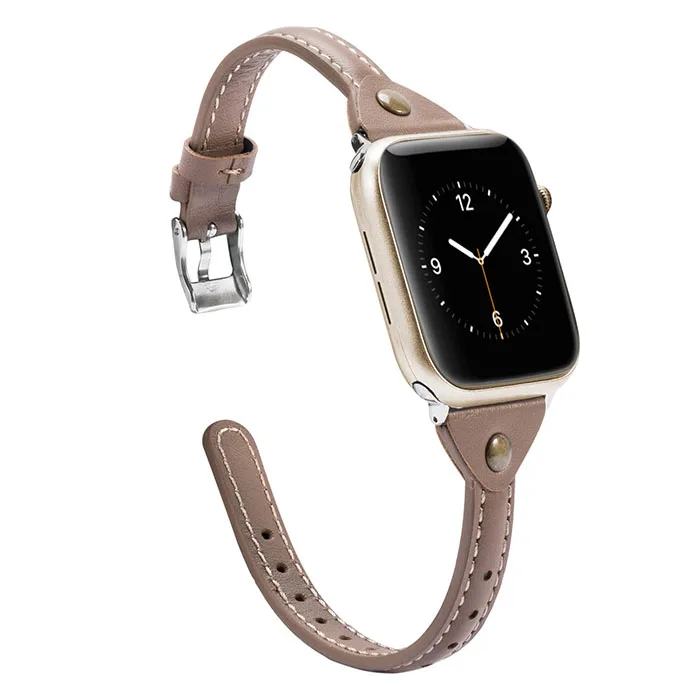 Slim Stellar Stainless Steel retail Apple