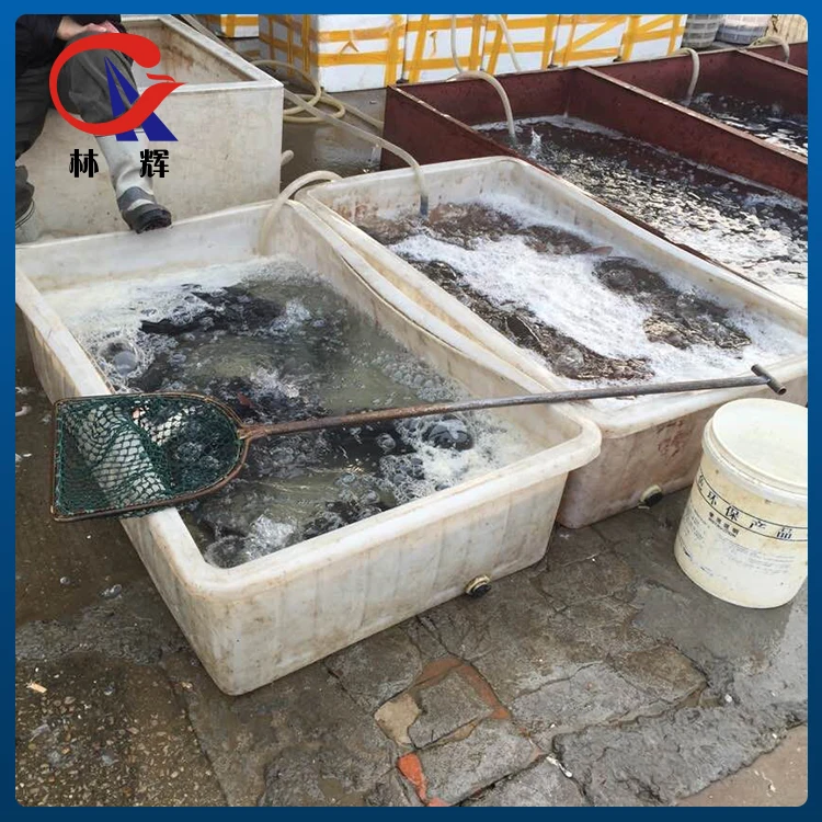 Oval Indoor Large Deep Plastic Fish Farming Tank - Buy Fish Farming ...