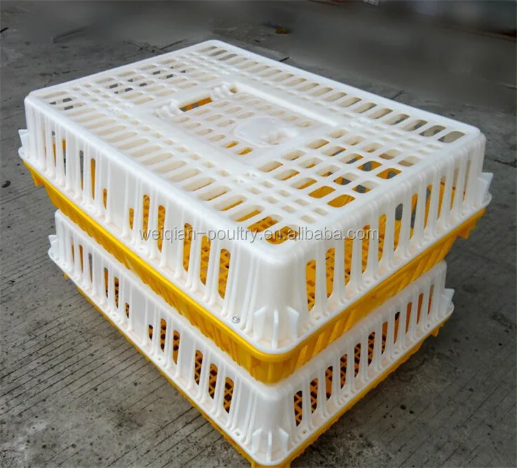 Hdpe Plastic Chicken Transport Crate /poultry Carrying Boxes /plastic ...