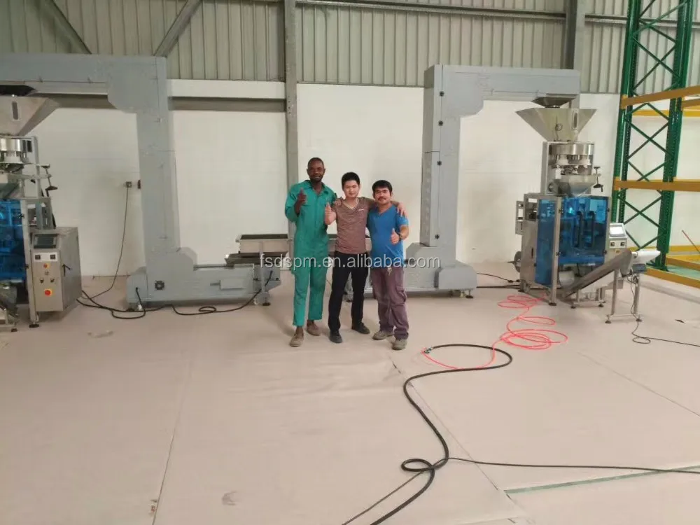 Automatic Sea Sedge Dried Nori Seaweed Packing Machine