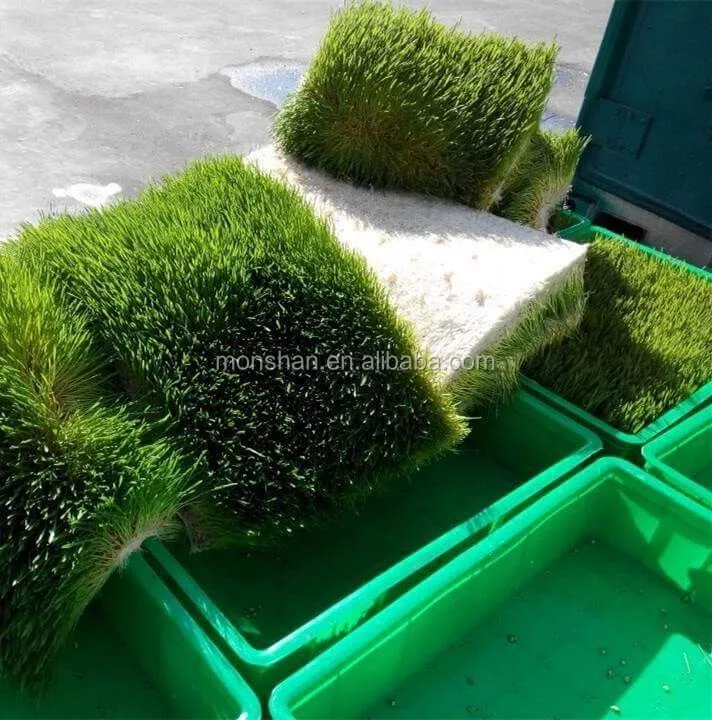 Cow Farm Equipment - Hydroponic Fodder Container for Cattle