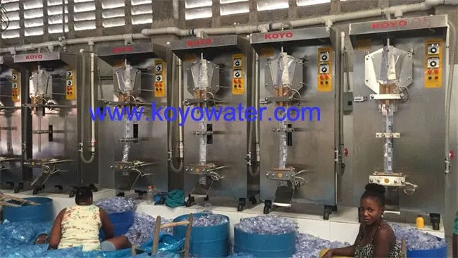 Small Scale Complete Water Production Line/pouch/liquid Sachet Filling ...