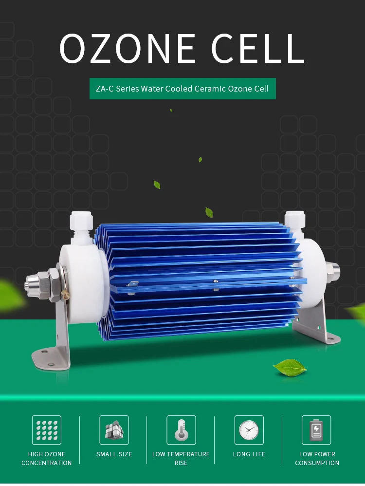 110v 60hz Corona Discharge Dielectric Tube Ceramic Ozone Generator 15g - Buy Ozone Generator ...