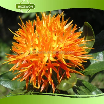 Natural Carthamus Color Powder Safflower Yellow Carthamus Extract ...