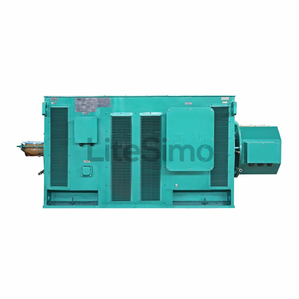 Yr 6.6kv Electric Motor - Buy High Quality 6.6kv Electric Motor ...