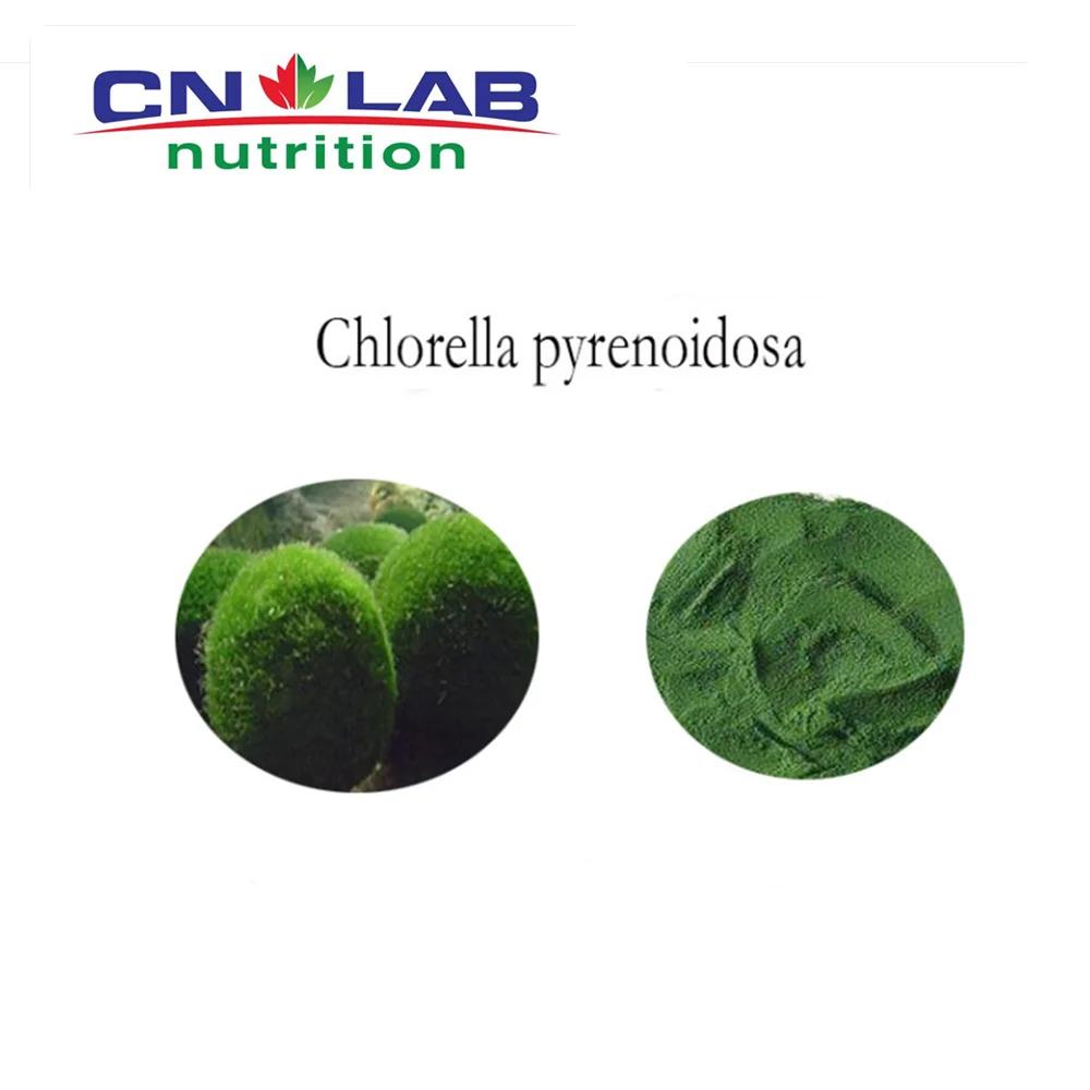 Factory Supply High Quality Chlorella Pyrenoidosa Powder. - Buy ...