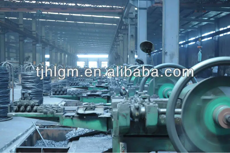 TIANJIN Building Common Wire Nail - Durable & Versatile