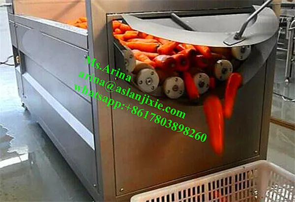 High Efficiency Root Crops Washing Machine by Aslan Machinery
