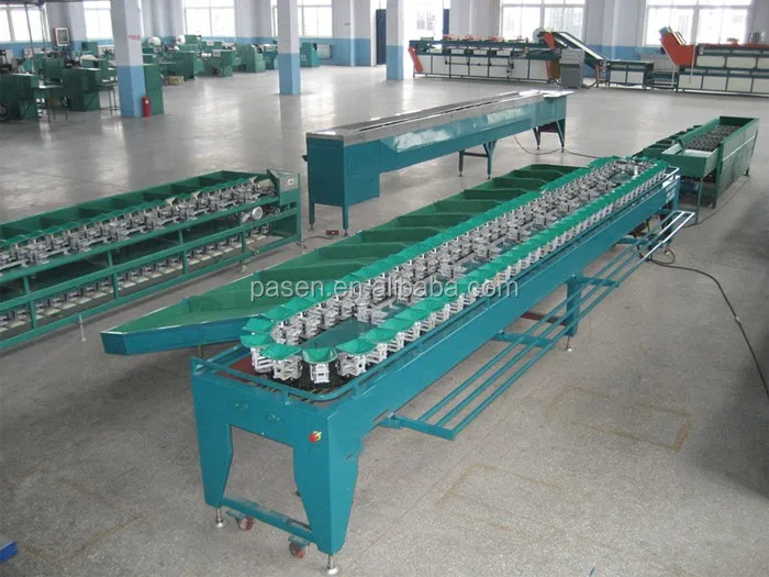 Fruit Weight Sorting Machine - Efficient & Reliable Solutions