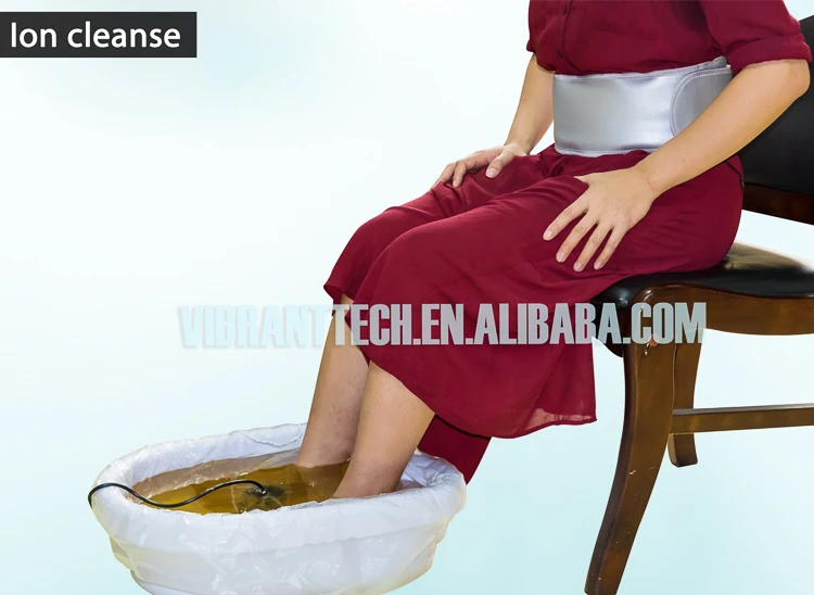 Free Shipping New Detox Foot Bath/ion Cleanse Bio Detox Foot Spa ...