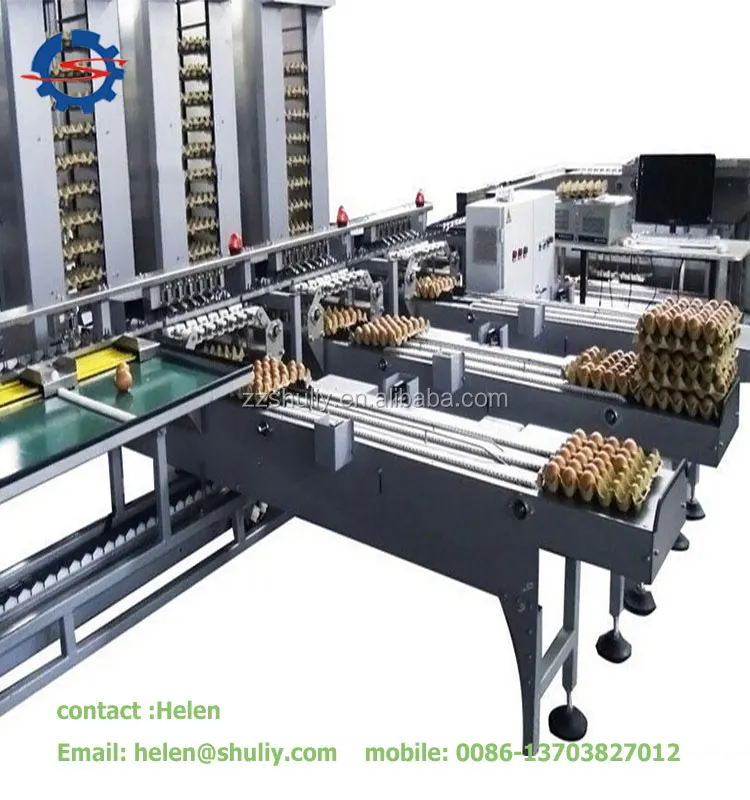 Automatic Eggs Grading Machines - Efficient & Reliable