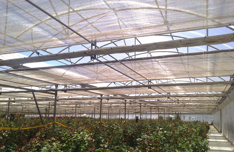 Greenhouse Polyester Wire Vineyard Trellis Wire - Buy Polyester Wire ...