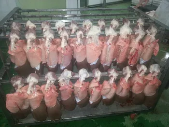 Lamb Plucks - Lamb Carcassses - Lamb Offals And Primary Cuts - Buy Lamb ...