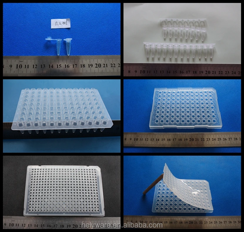 0.2ml centrifuge tube PCR tube micro Reaction Tube with screw cap for ...