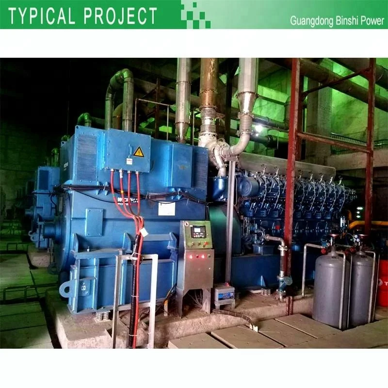 150kw 400v 60hz Biogas Generator For Pig Farm As Continuous Power ...