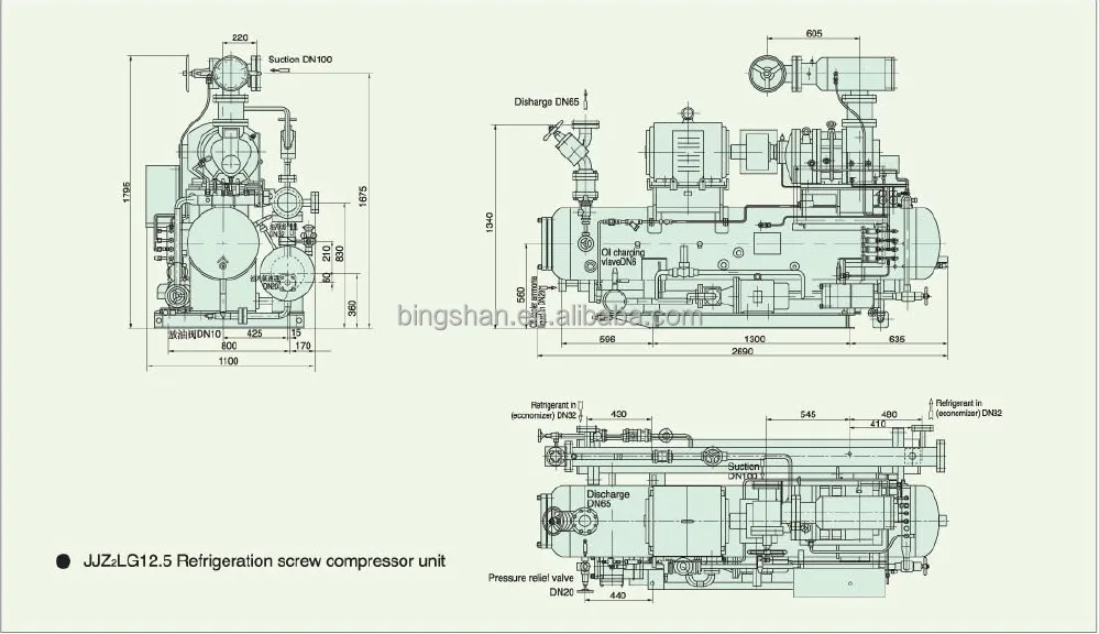 Bingshan Ammonia Screw Compressor for Efficient Cooling