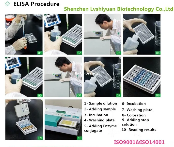 Lsy-30007 Circovirus Porcino (pcv2) Elisa Kit De Prueba 96 Bien Elisa ...