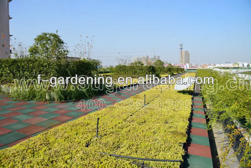SOL 2018 Self-watering Modular Planter Box Green Roof System| Alibaba.com