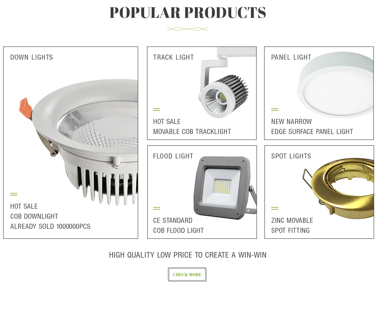 Zhongshan Baron Lighting Co., Ltd. - Down Light, Spot Light