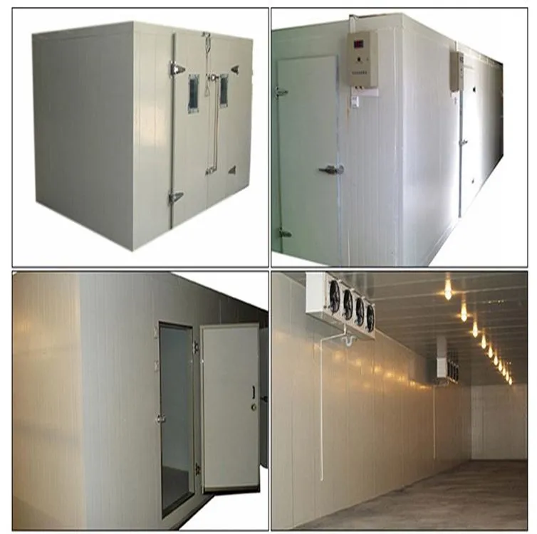 Cheap Refrigerated Condenser Solar Powered Cold Store Room with Storage ...