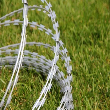 Bto-30 Pvc Coated Razor Ribbons Concertina Barbed Wire - Buy Razor ...