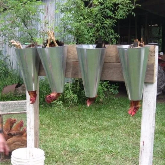 Large Chicken Turkey Killing Processing Restraining Cone Funnel/killing ...