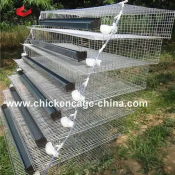 Full Automatic Quail Cage,Egg Quail Cage,Pyramid Quail Cage For Quail ...